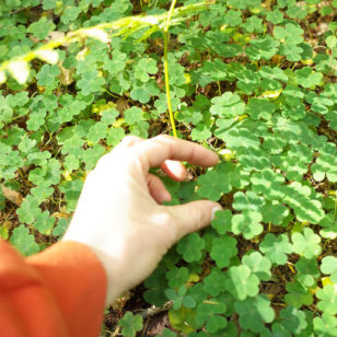 Home - Super Slow WaySuper Slow Way